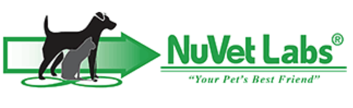 Your Goldendoodle and Bernedoodle, breeder.